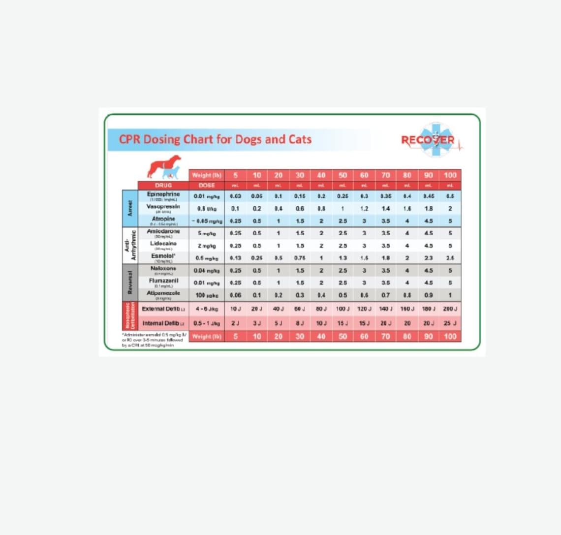 Veterinary Technician ID Badge Cheat Sheets: Dental, Fluid, ECG, CPR ...