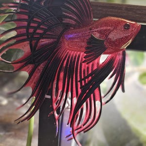 Small Resin Betta Fish - Etsy