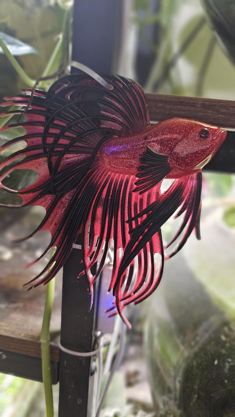 Small Resin Betta Fish - Etsy
