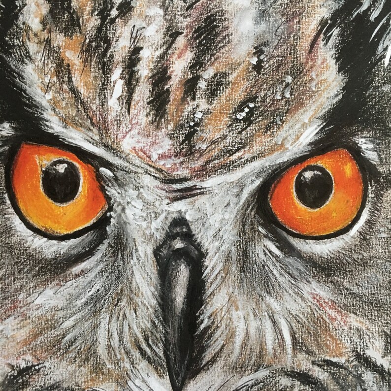 Eurasian Eagle Owl Portrait A4 Art Print - Etsy