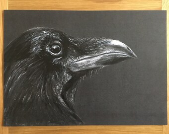 Carrion Crow Portrait facing Left A4 Art Print - Etsy