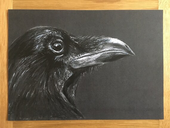 Crow Portrait facing Right A4 Art Print | Etsy