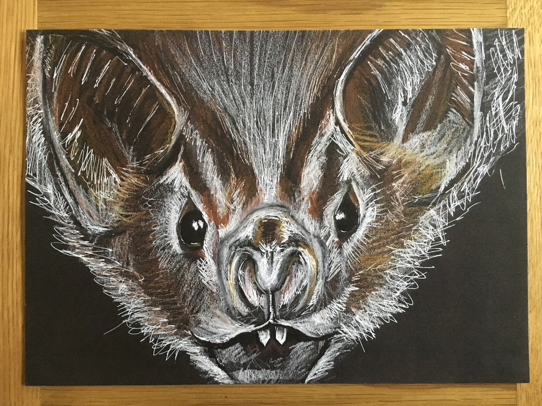 Vampire Bat A4 Art Print - Etsy