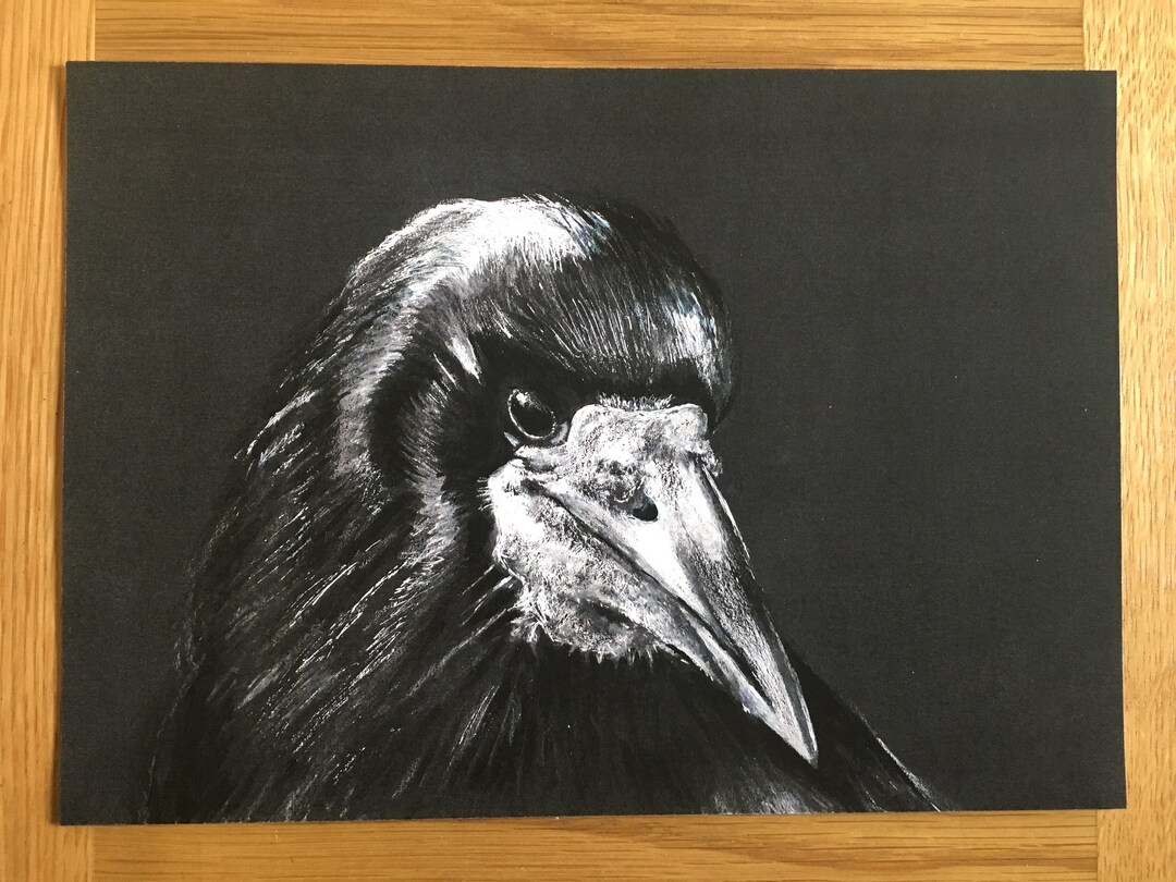 Rook Portrait A4 Art Print - Etsy