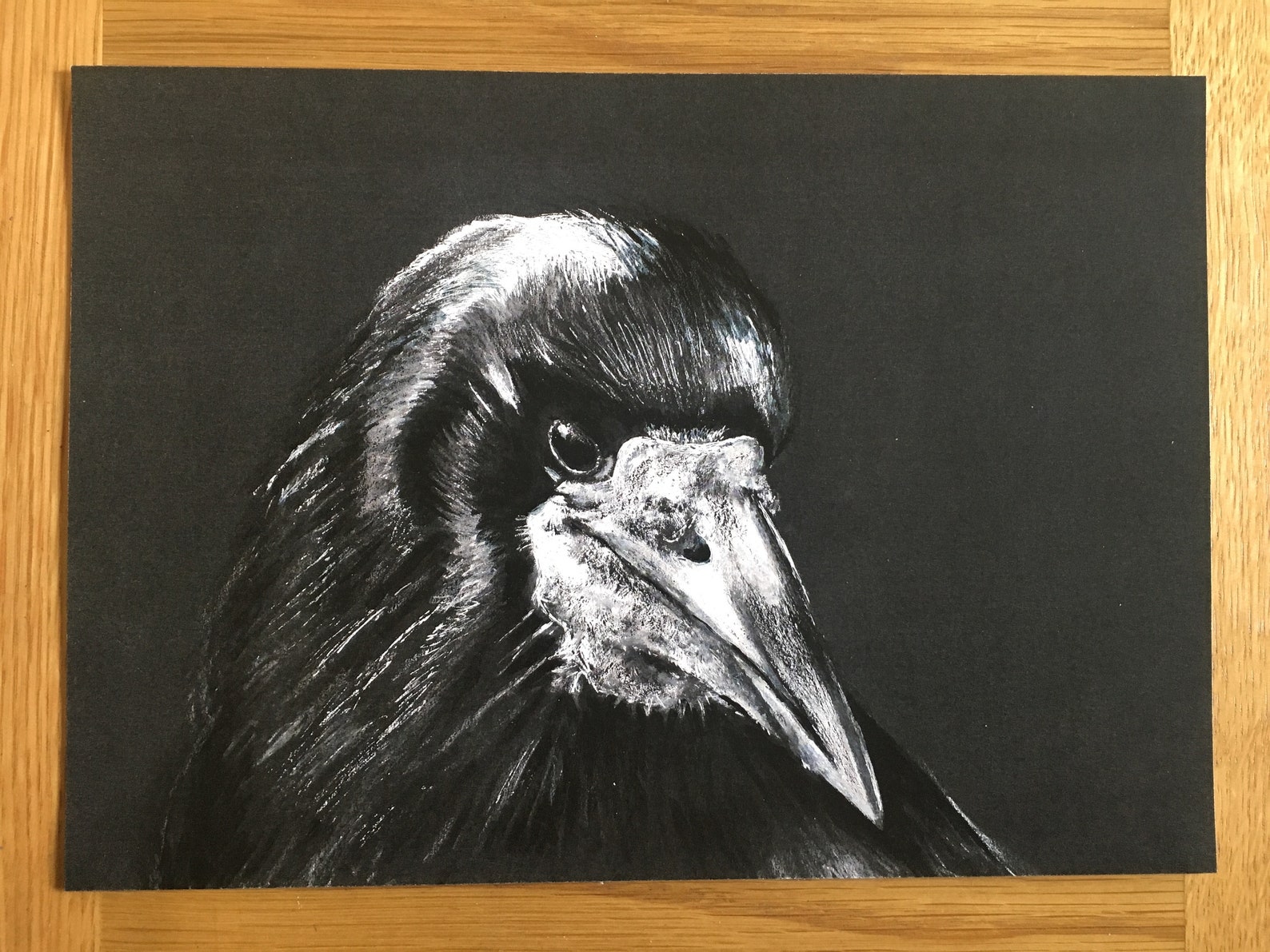 Rook Portrait A4 Art Print - Etsy