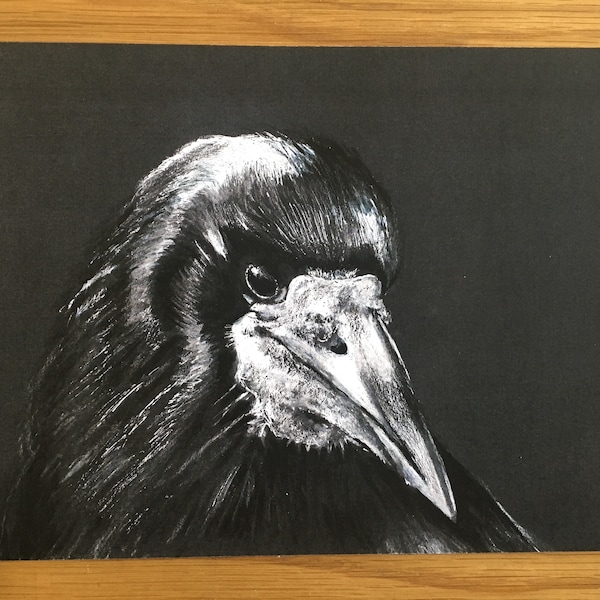 Carrion Crow Portrait facing Left A4 Art Print - Etsy