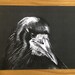 Carrion Crow Portrait (facing Left) A4 Art Print - Etsy
