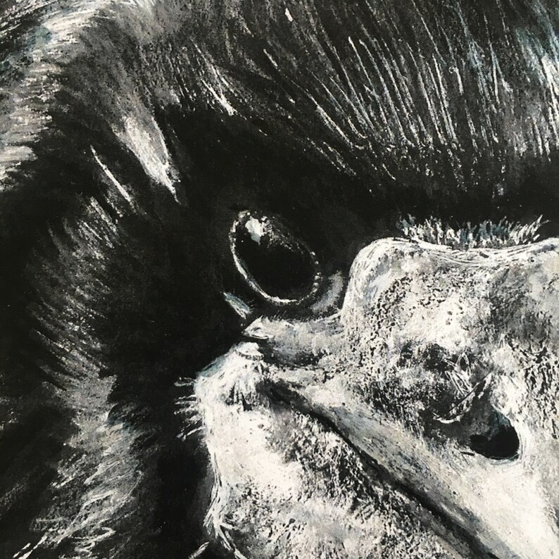 Rook Portrait A4 Art Print - Etsy