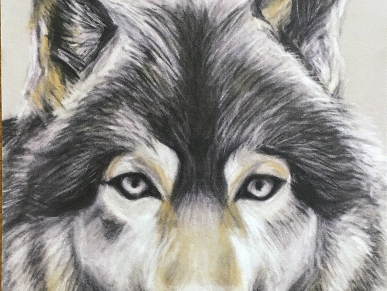 Grey Wolf Portrait A4 Art Print - Etsy