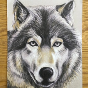 Grey Wolf Portrait A4 Art Print - Etsy