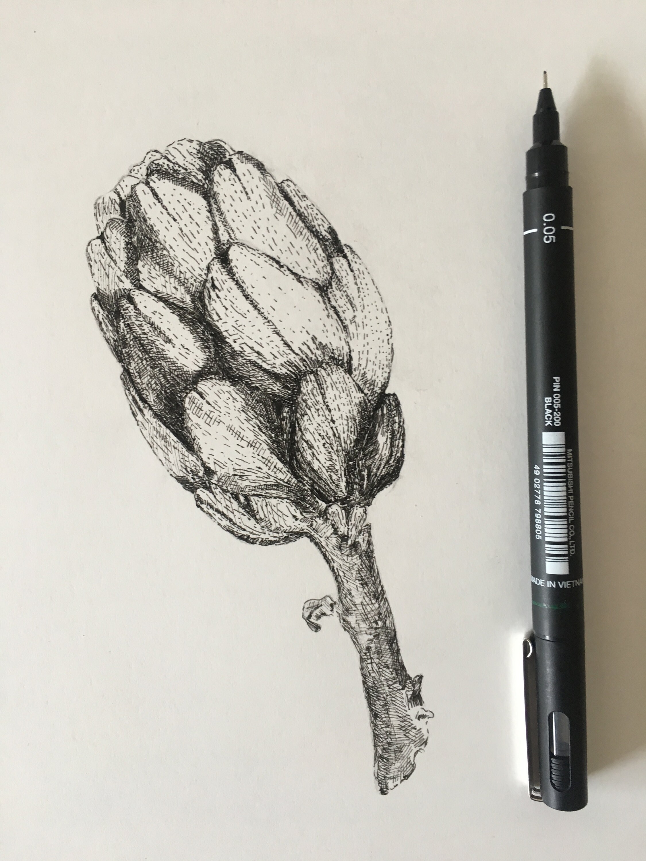 Botanical Ink Drawing, Botanica Print, Drawing, Artichoke Ink Drawing ...