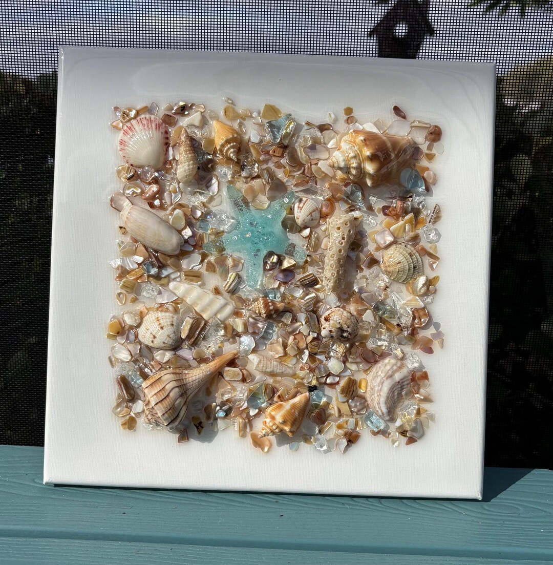 Seashell Wall Art – Handmade Florida Seashells & Resin Starfish - Etsy