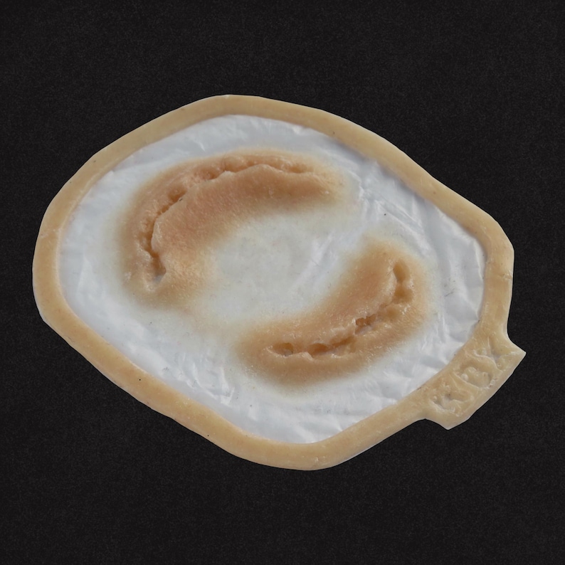 Human Bite Wound / Vampire Bite Mark Silicone Prosthetics / Halloween ...