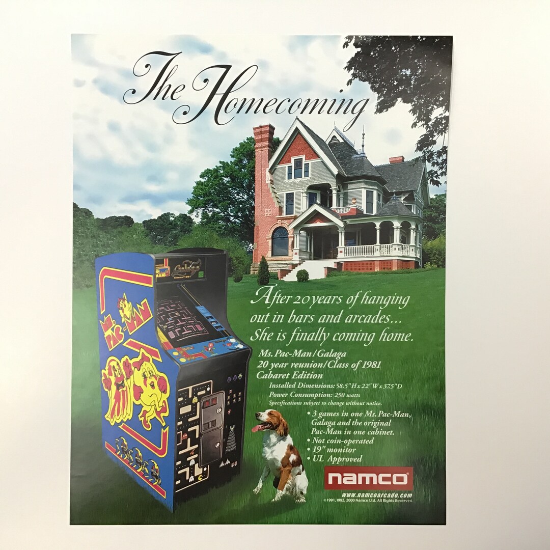 Ms Pac Man / GALAGA Arcade Sales Flyer Namco - Etsy