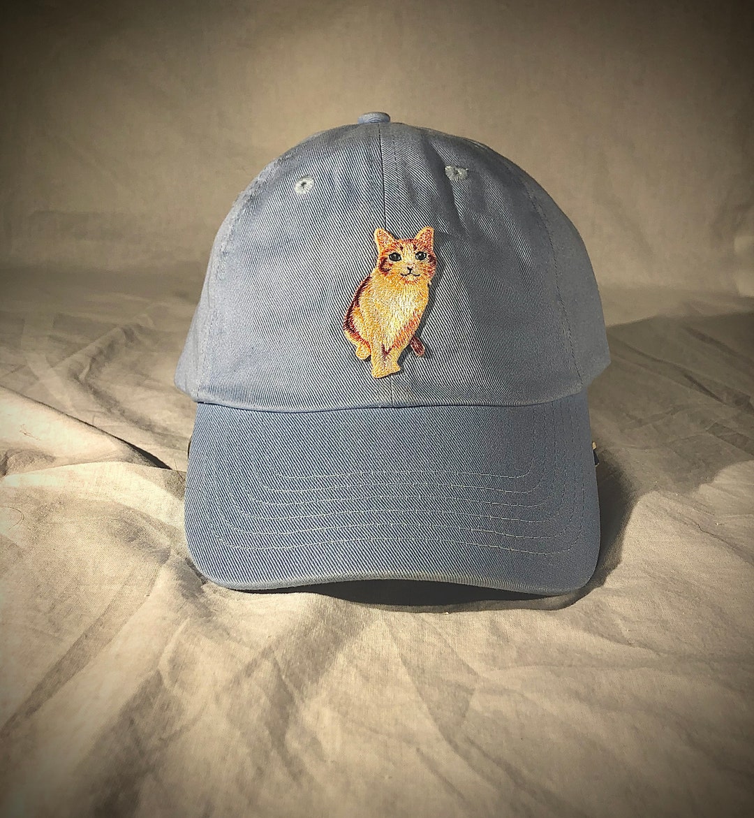 Orange Cat Hat Orange Tabby Kitten Billed Hat - Etsy