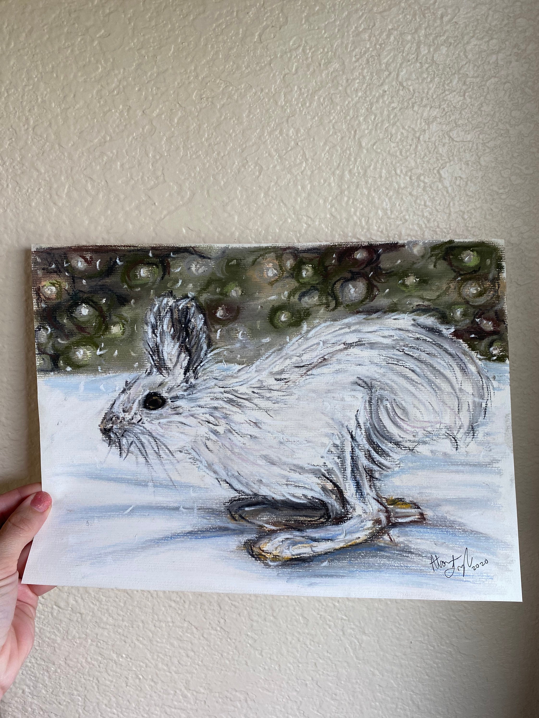 Snowshoe Hare, Hare, Rabbit, Bunny, Arctic Animals, Animal Art, Hare ...