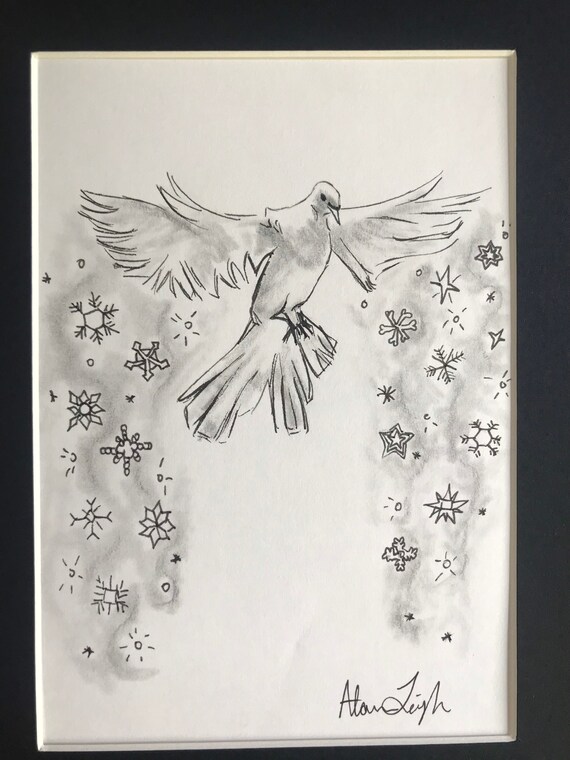 Mourning Dove Flying Drawing