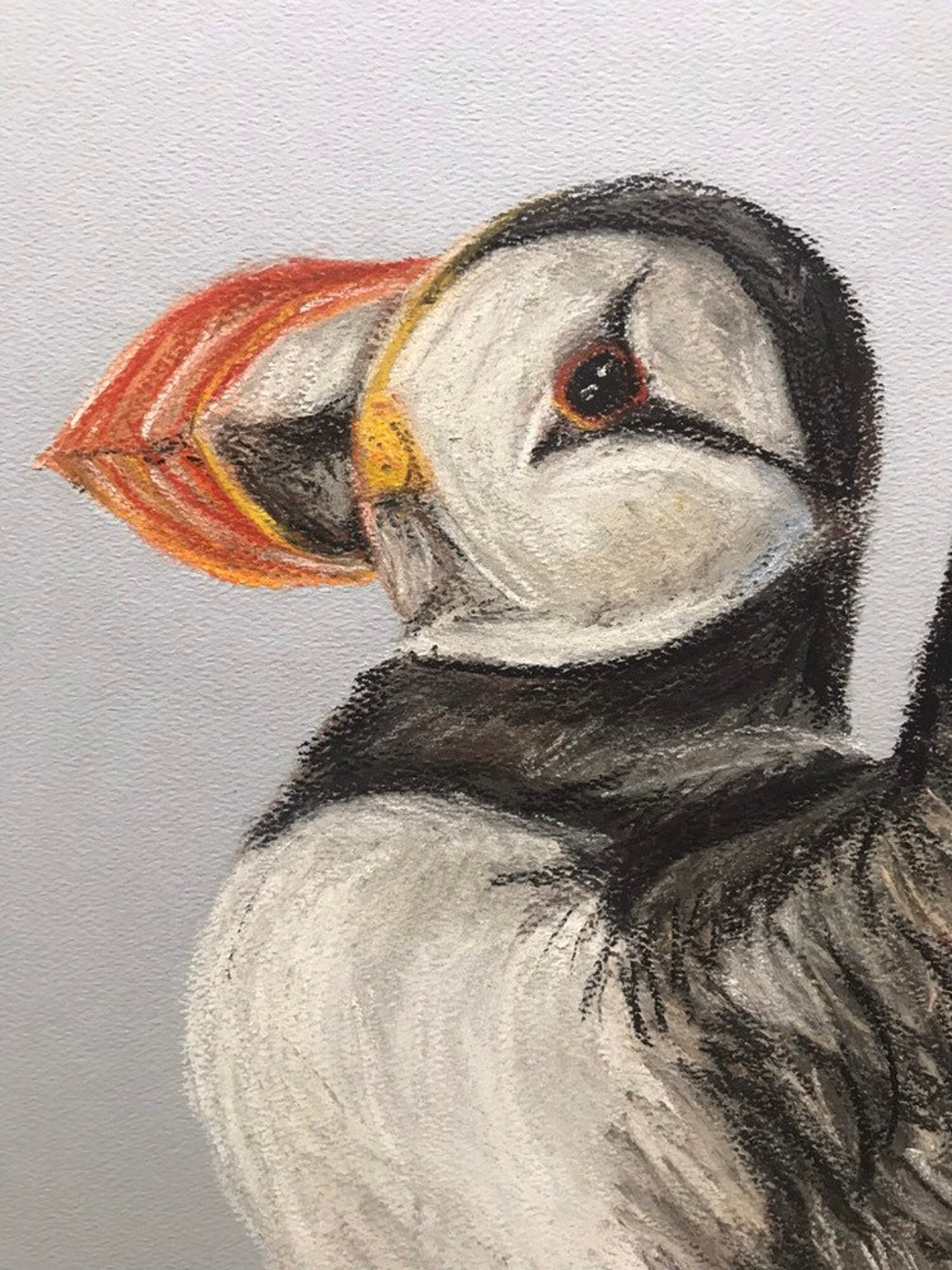 Atlantic Puffin Soft Pastel Drawing Emdangered Bird Art Bird - Etsy