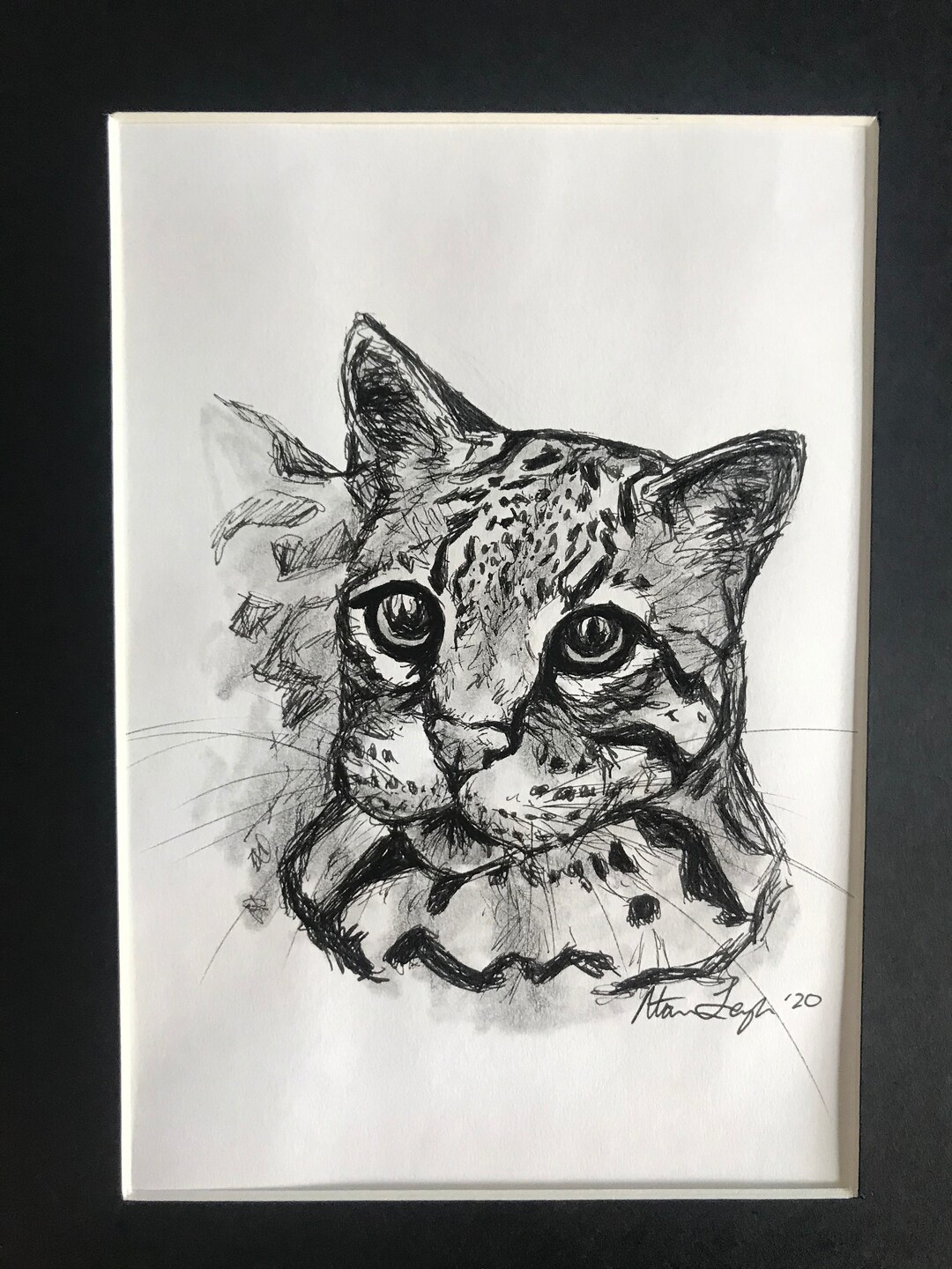 Ocelot Drawing, Ocelot Art, Big Cat Art, Wild Cat Drawing, Endangered ...