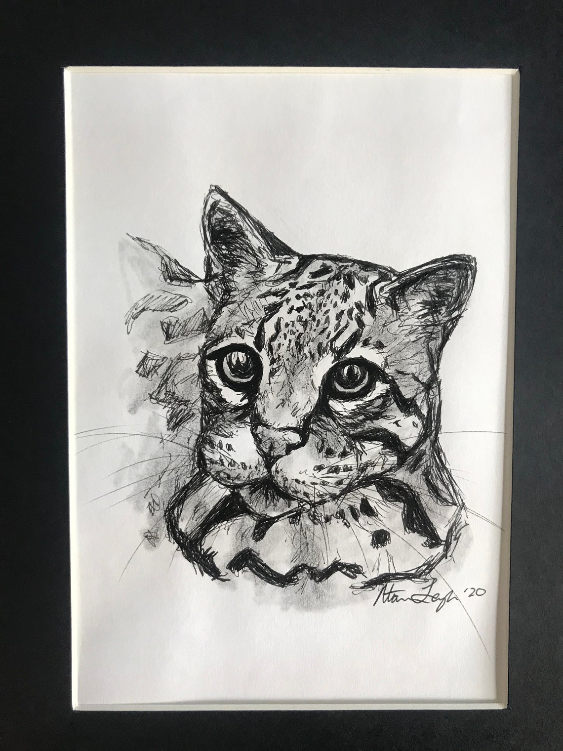 Ocelot Drawing, Ocelot Art, Big Cat Art, Wild Cat Drawing, Endangered ...