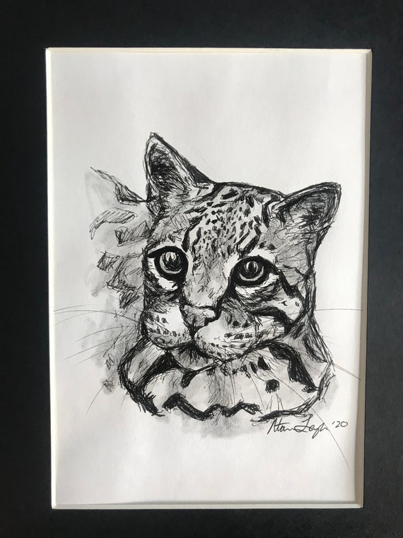 Ocelot Cat Drawing