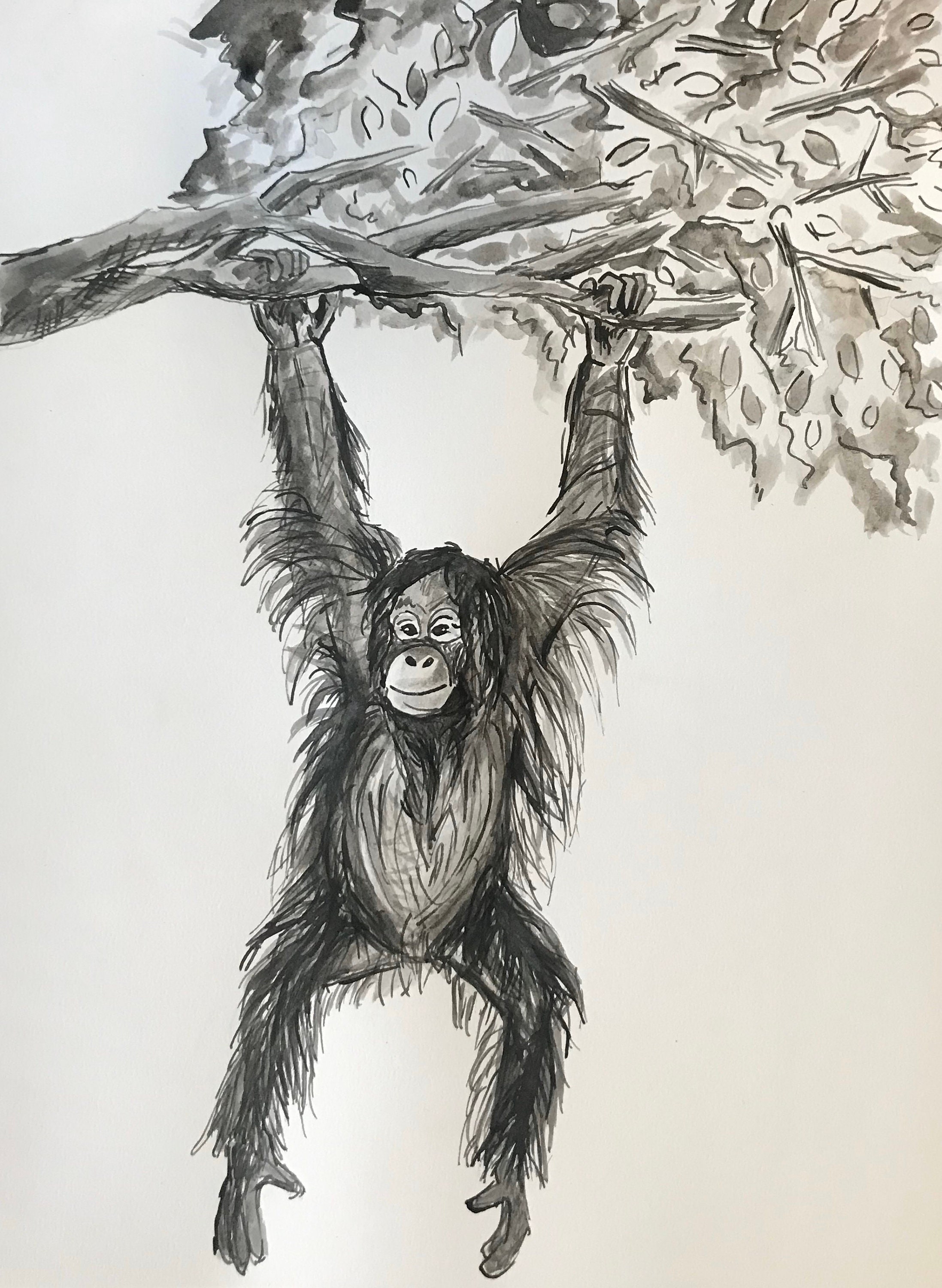 Orangutan Drawing Orangutan Hanging From Tree Orangutan | Etsy