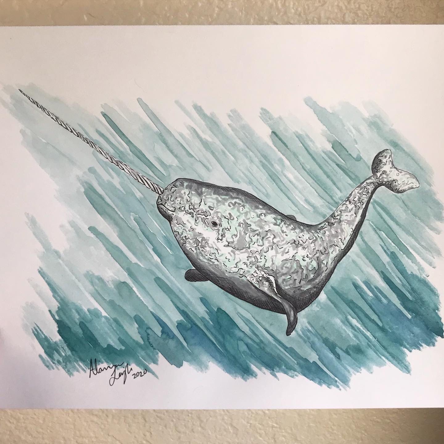 Narwhal Drawing