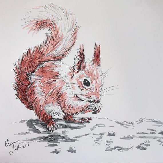 Squirrel In Tree Drawing