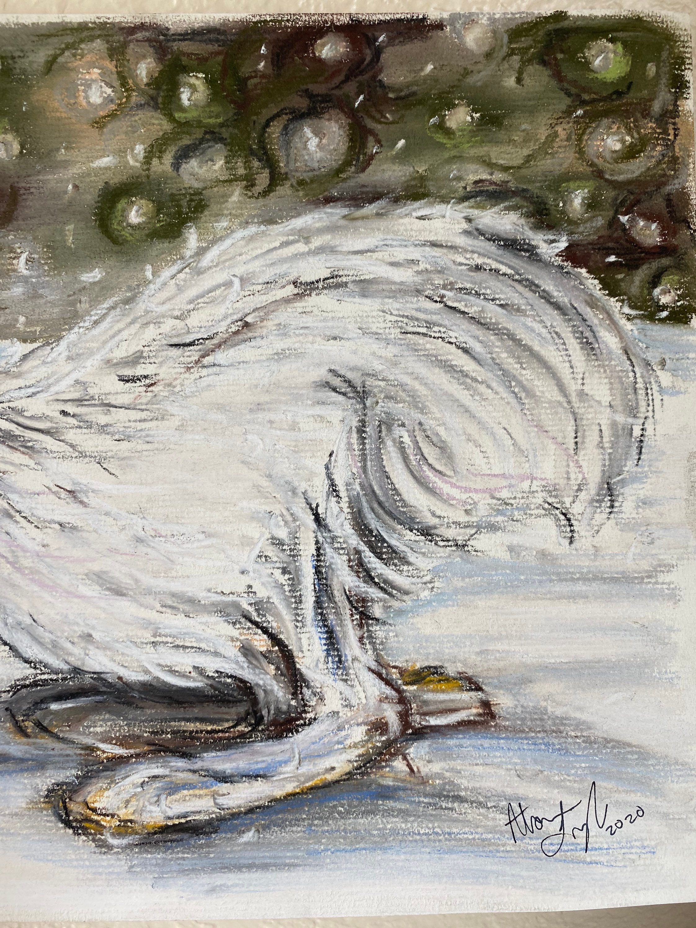 Snowshoe Hare, Hare, Rabbit, Bunny, Arctic Animals, Animal Art, Hare ...