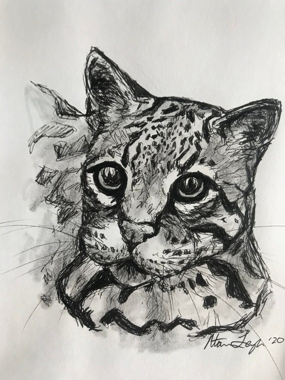 Ocelot Cat Drawing