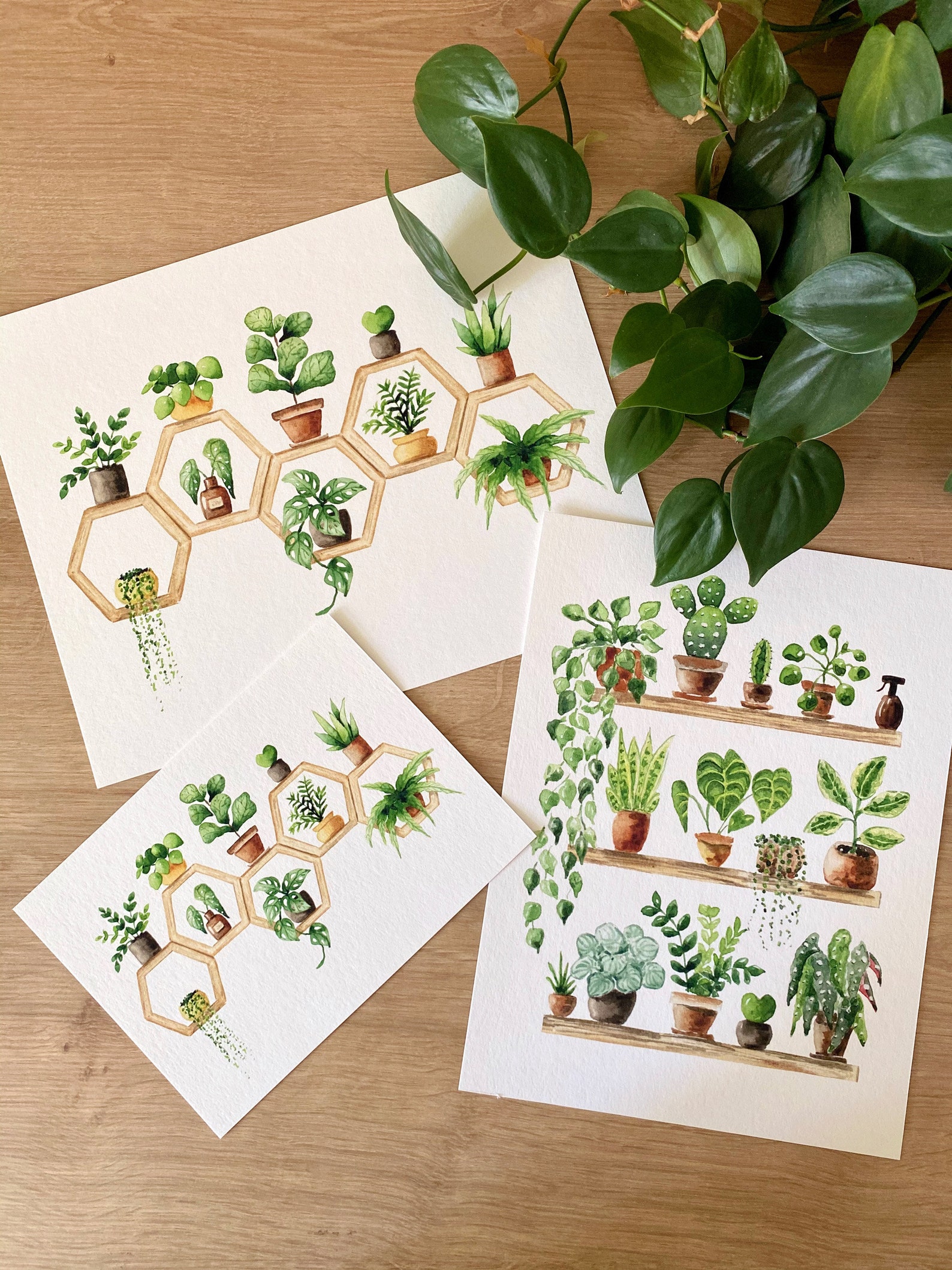 Pflanzen Poster 'Plant Shelfie' alle Größen Fine Art - Etsy.de