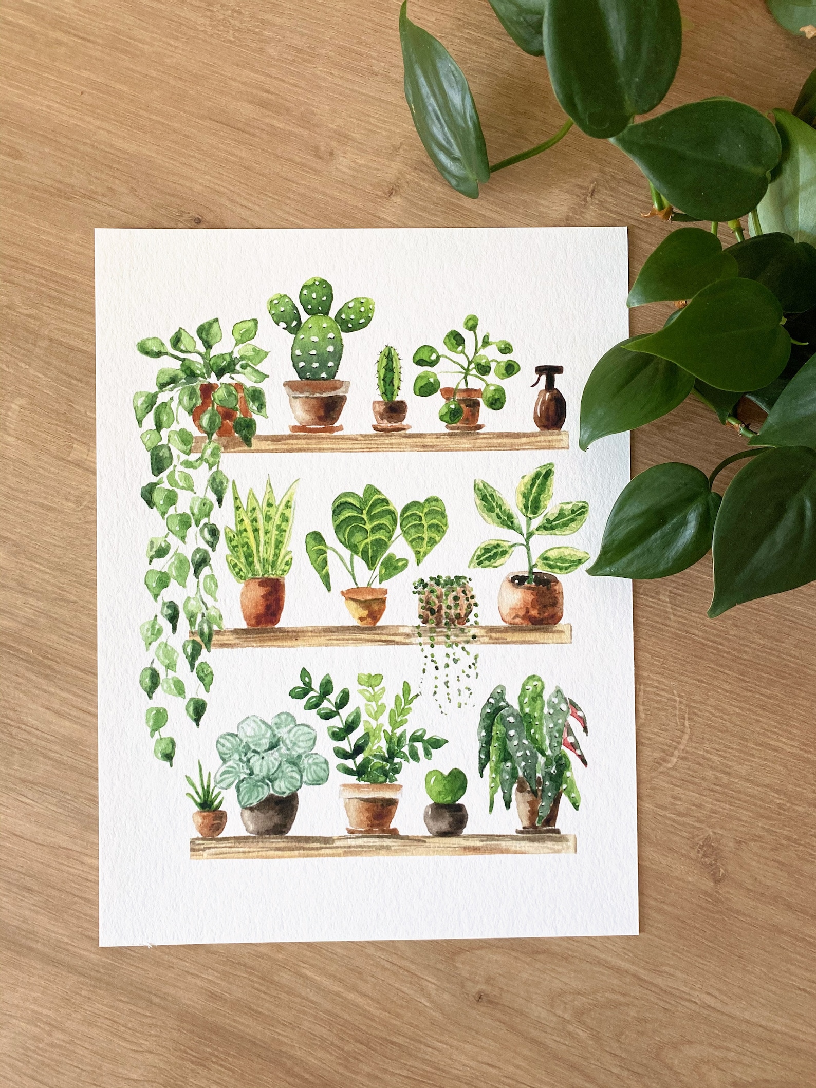Plant Poster 'plant Shelfie' All Sizes Fine Art - Etsy