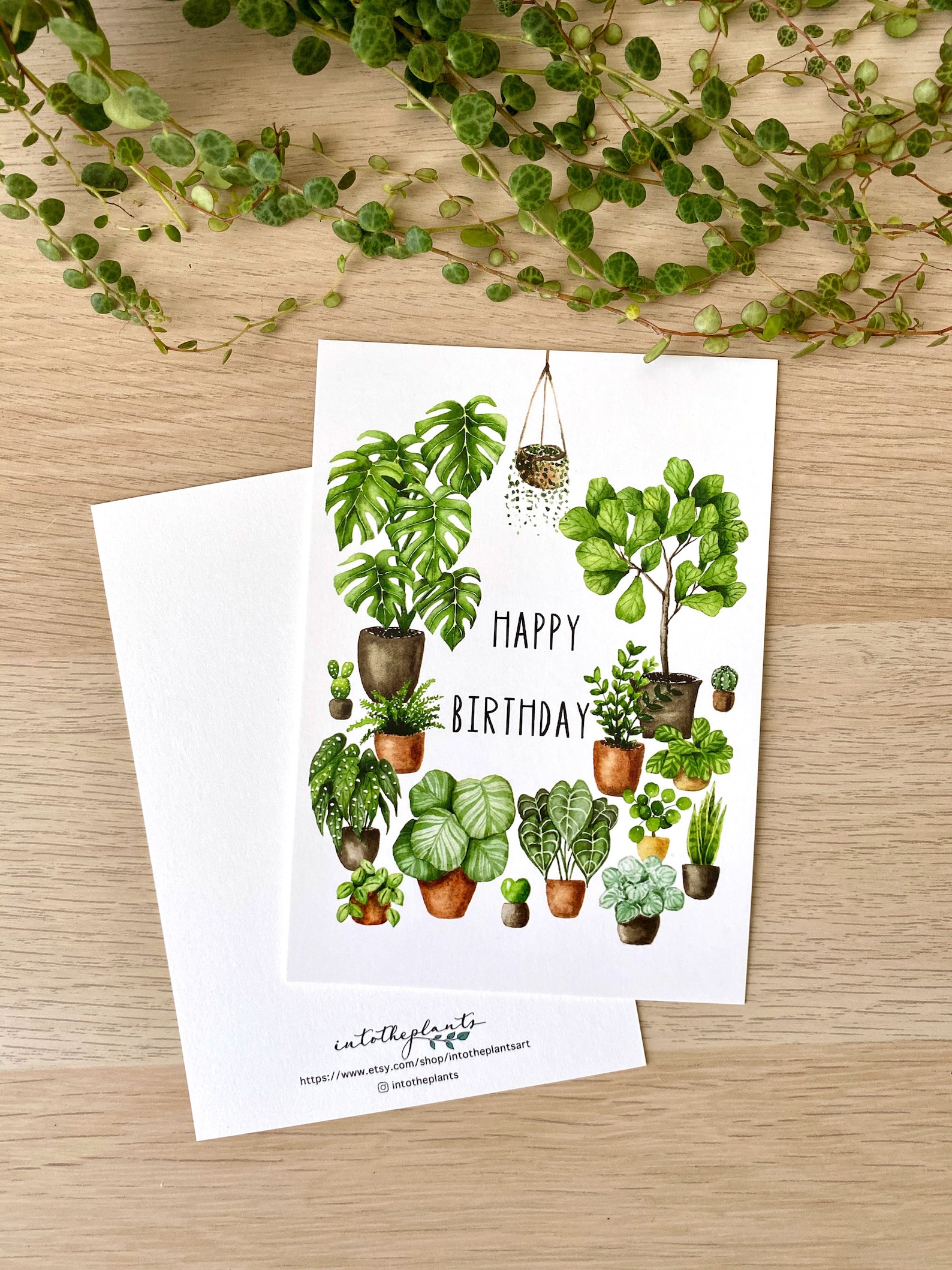 Birthday Card A6 'happy Birthday' Plants Greeting | Etsy