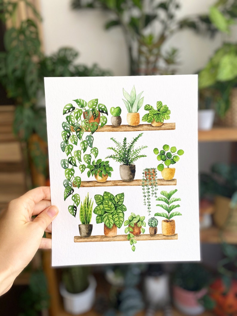 Plant Poster 'plant Shelfie 2' Big Sizes Fine Art - Etsy