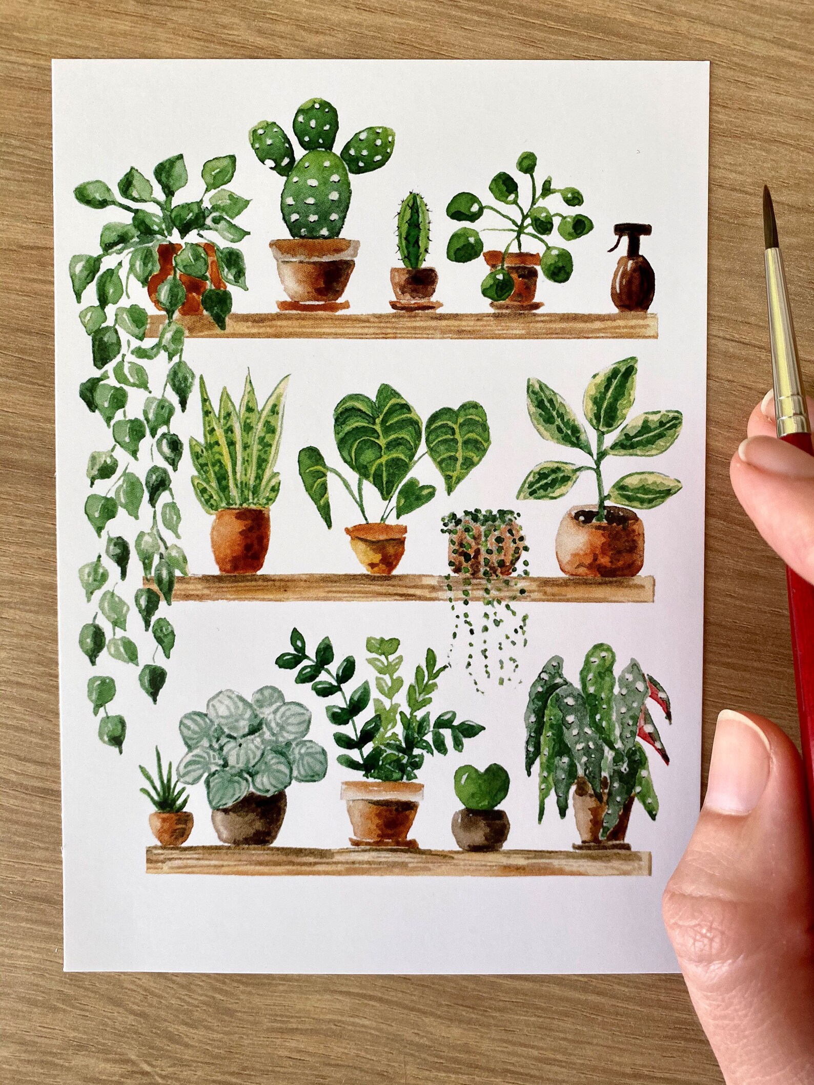 Plant Poster 'plant Shelfie' All Sizes Fine Art - Etsy