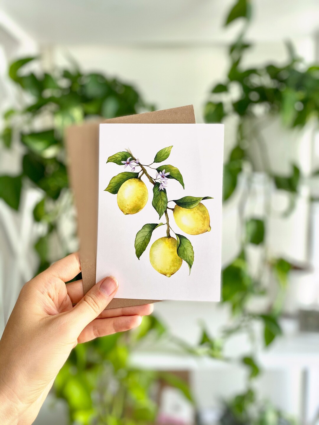 Postcard 'lemons', Plant Greeting Card, Watercolor Cards, Food Art ...