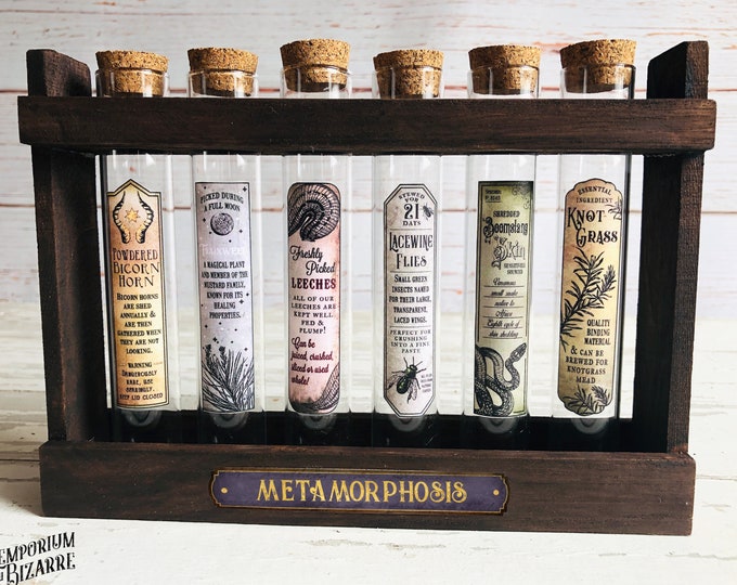 Set 2 Metamorphosis Potion Stand With 6 Potion Test Tubes, Magic ...