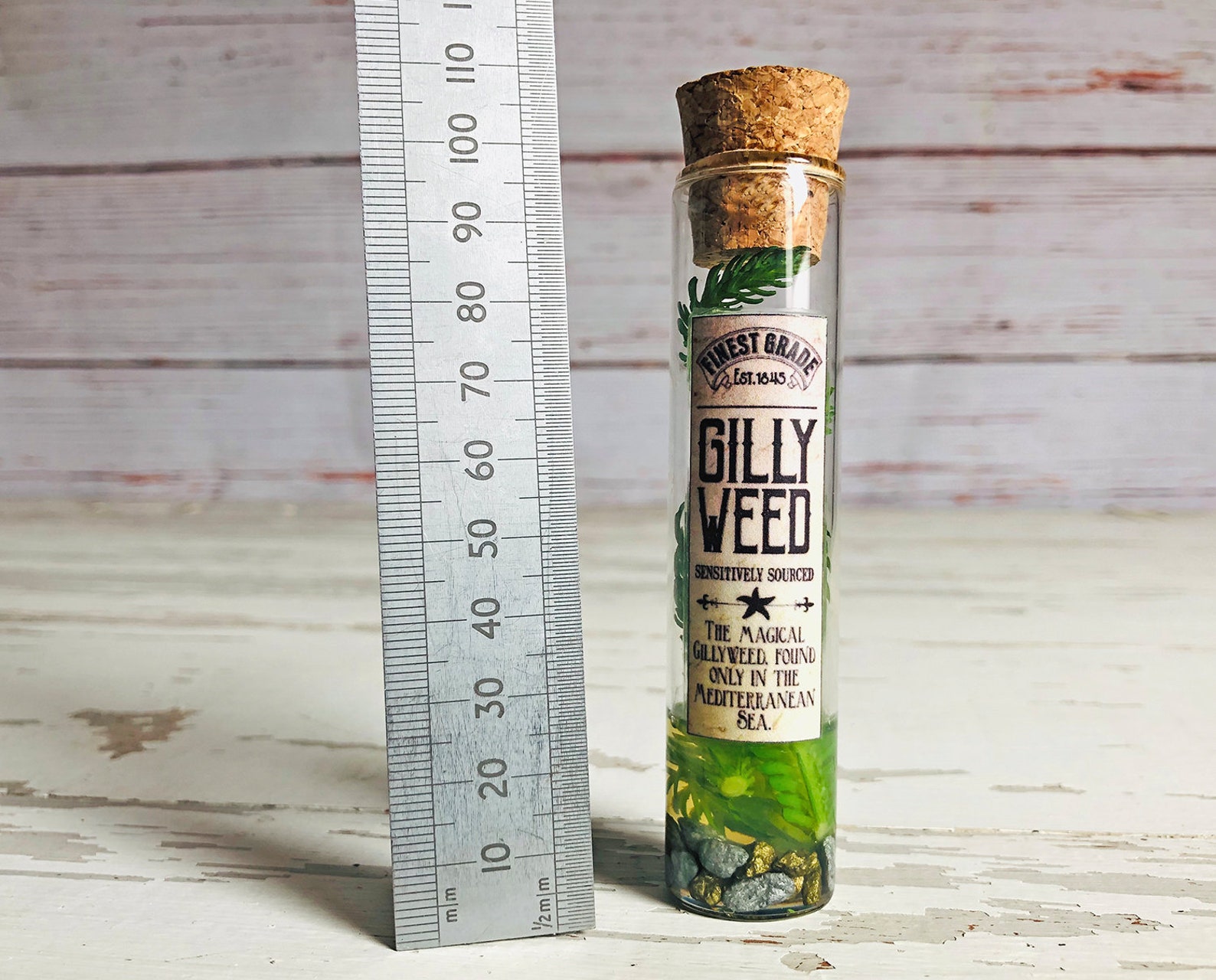 Gillyweed Potion Bottle Decoration Apothecary Potion Label | Etsy