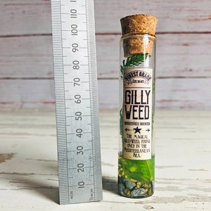 Gillyweed Potion Bottle Decoration Apothecary Potion Label Gillyweed ...