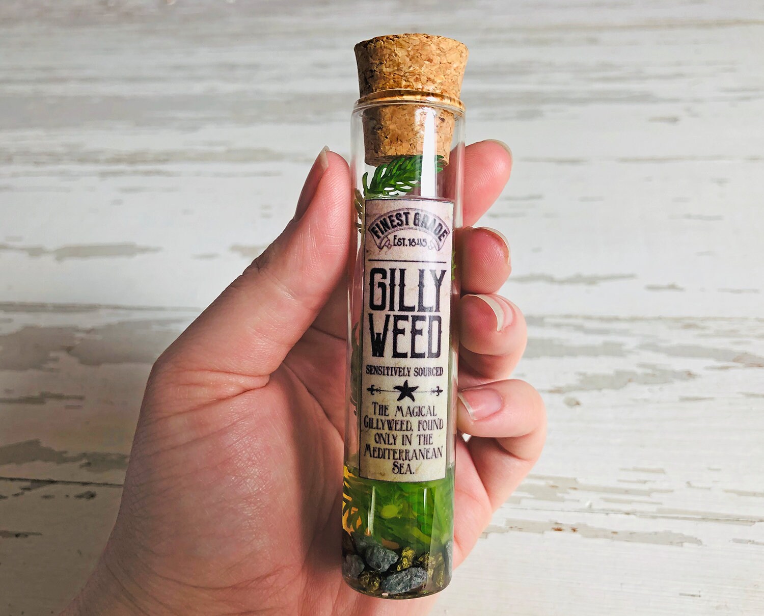 Gillyweed Potion Bottle Decoration Apothecary Potion Label | Etsy