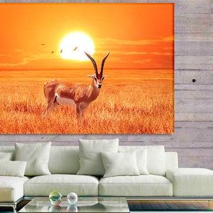 Antelope Canvas Wall Art Wild Nature on Canvas Antelope Poster - Etsy