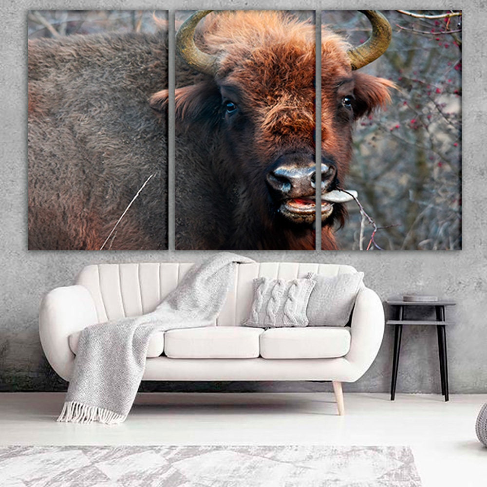 Bison wall art Bison decor Bison art Bison canvas Bison photo | Etsy
