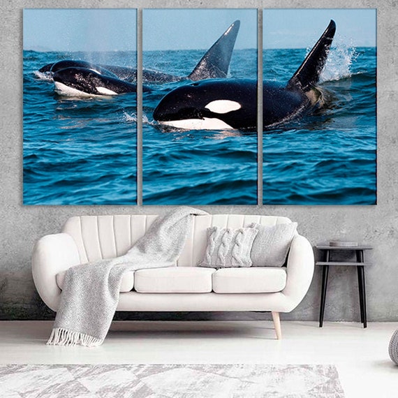 Killer Whale Canvas Killer Whale Poster Killer Whale Print | Etsy