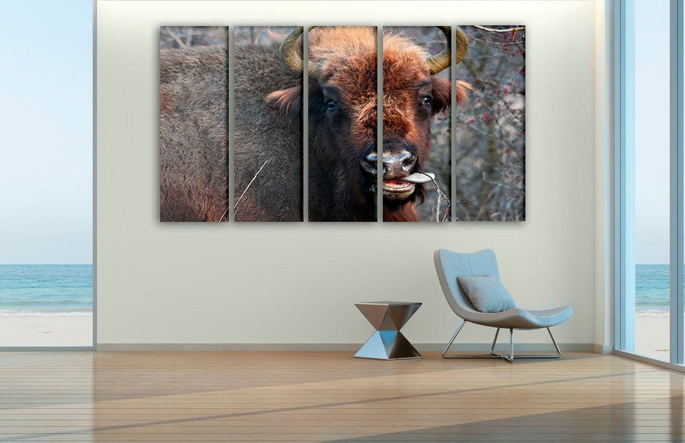 Bison Wall Art Bison Decor Bison Art Bison Canvas Bison Photo - Etsy
