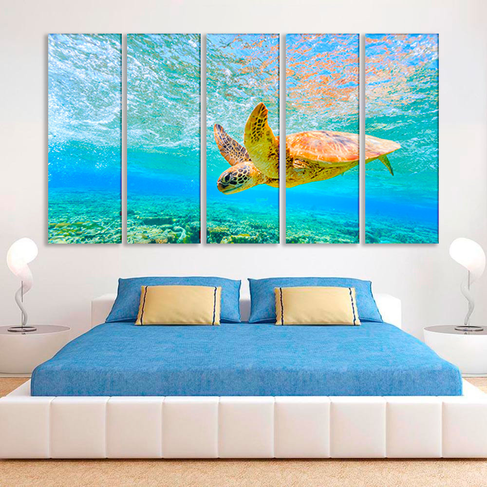 Turtle print Turtle home decor Turtle pictures Sea photo | Etsy