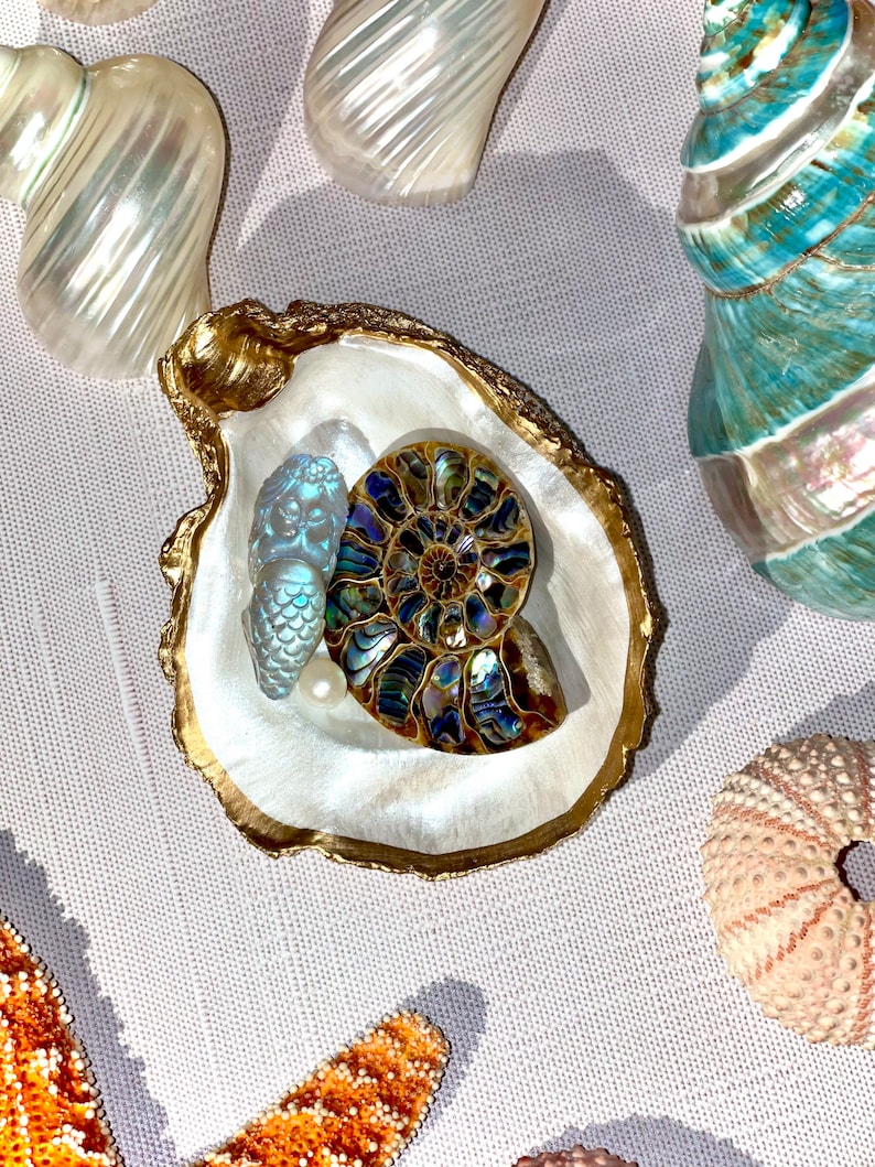 Ammonite Fossil With Abalone Shell Inlay Rare Abalone Etsy