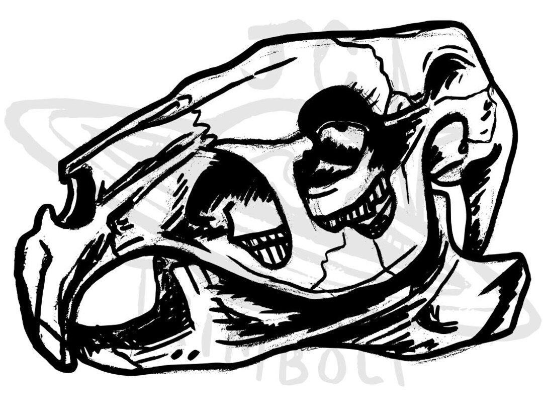 Capybara Skull | Personal License | Hand Drawn Art | SVG | PNG | DXF ...