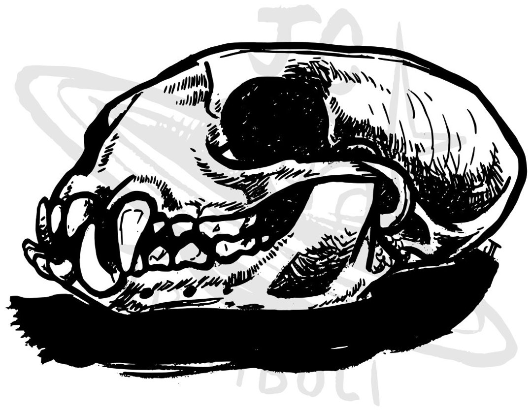 Badger Skull | Personal License | Hand Drawn Art | SVG | PNG | DXF ...