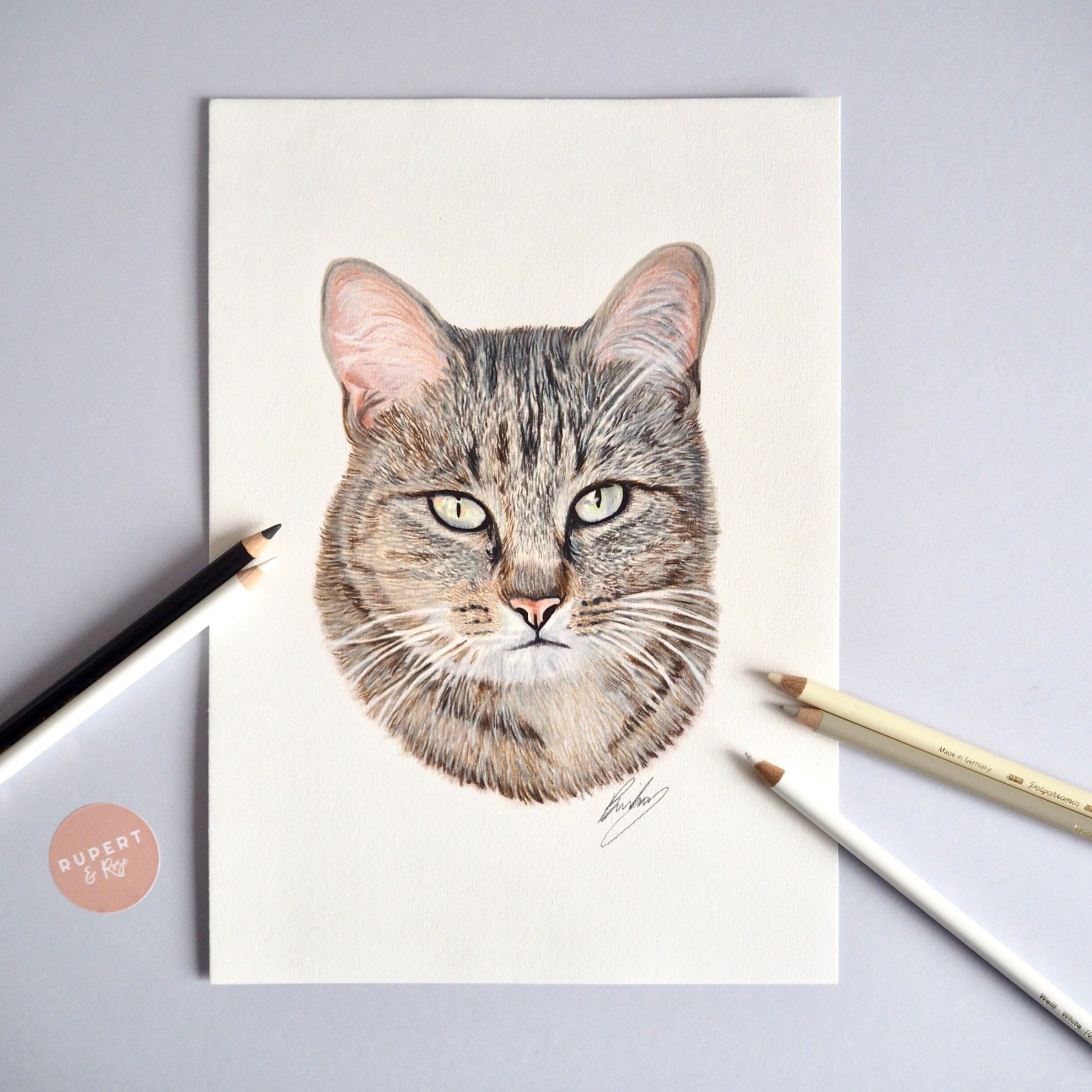 Custom Pet Portrait Hand Drawn Coloured Pencil Pet | Etsy