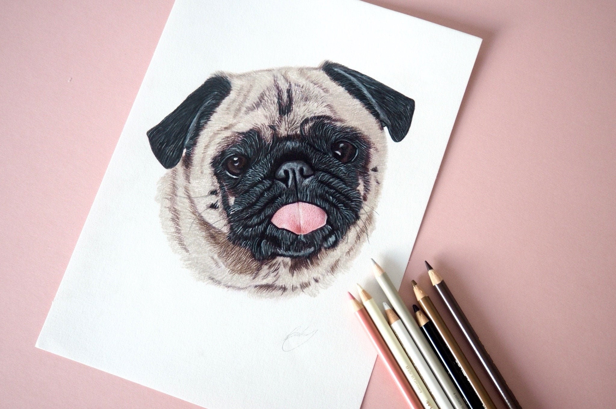 Custom Pet Portrait Hand Drawn Coloured Pencil Pet | Etsy